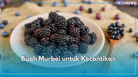Ini 8 Manfaat Buah Murbei Untuk Kecantikan Kandungannya Ampuh