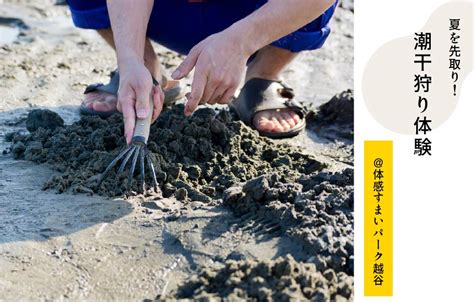 【夏を先取り】潮干狩り体験〈体感すまいパーク越谷〉｜埼玉・千葉・東京に注文住宅を建てる北辰工務店のイベント情報