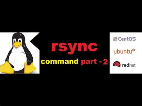 How To Sync File Between Or More Servers Using Rsync Command In Redhat Linux OS YouTube
