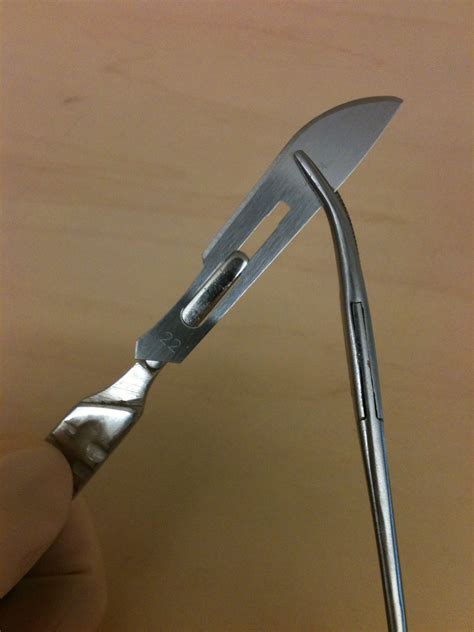 How To Mount A Blade Onto A Scalpel Handle B C Guides