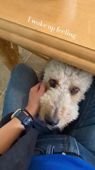 Sandra Loo On Linkedin Superstarclients Greatpartnership Yegrealestate Newsareptarealestate