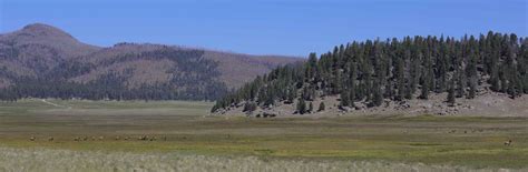 Valle Grande Caldera
