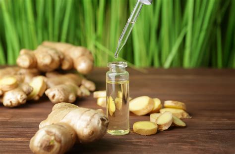 Ginger Essential Oil An Effective Natural Antibacterial And Anti