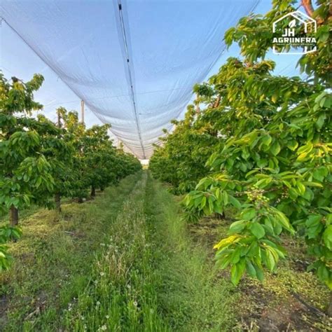 Prefab Cherry Protection System For Agriculture At ₹ 350 Square Meter In Gandhinagar