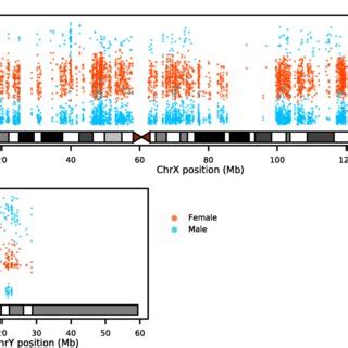 Females And Males Exhibit Distinct Methylation Patterns At Download Scientific Diagram