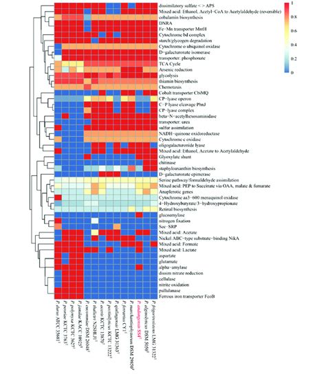 The Heatmap Of Discriminated Metabolic Pathways Within The Genus