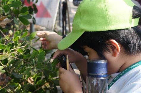 22世界濕地日 臺灣長期投入保育工作不缺席 新頭條 Thehubnews