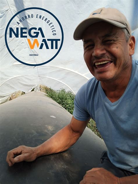 Certificación Del Biol Como Abono Orgánico En Los Cultivos De Tomates