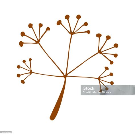 딜의 줄기 호그위드 식물은 낙서 의 스타일로 물결 모양의 형태로 만들어집니다 가을 가지 로고에 대한 스톡 벡터 아트 및 기타 이미지 로고 부케 원형 Istock