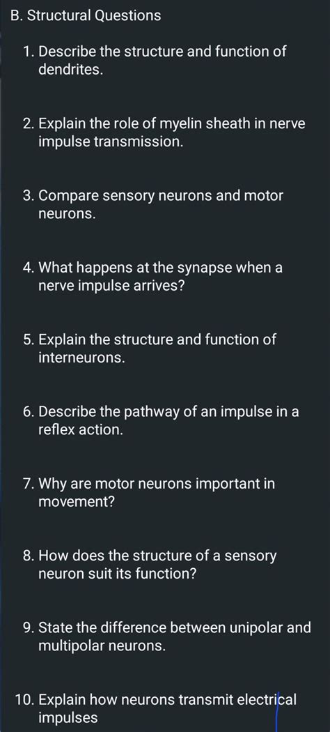 B Structural Questions Describe The Structure And Function Of Dendrites