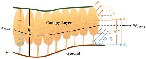forest height inversion by combining single baseline tandem x insar