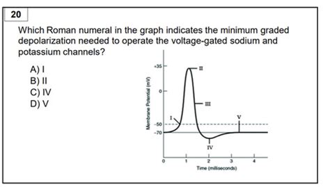 Unit 3 Exam Review Flashcards Quizlet