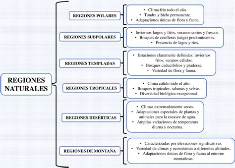 Mapa Conceptual De Las Regiones Naturales Del Mundo Rosewong