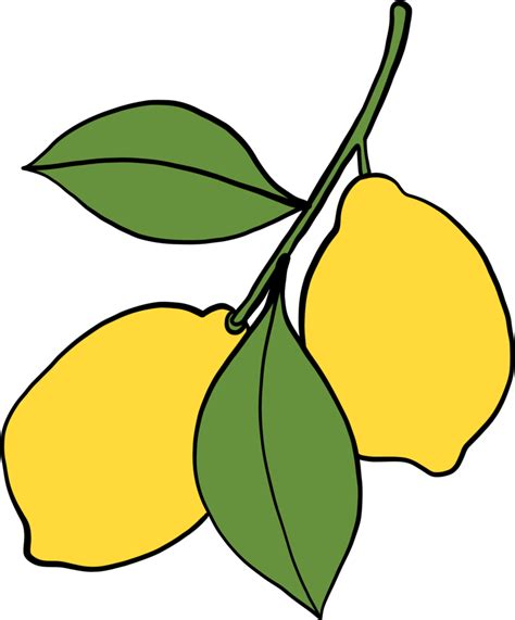 Doodle Dibujo A Mano Alzada De Fruta De Limón 12640604 Png