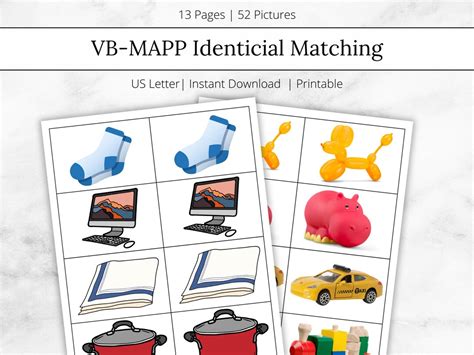 VB MAPP Identical Matching ABA Materials Flashcards Printable
