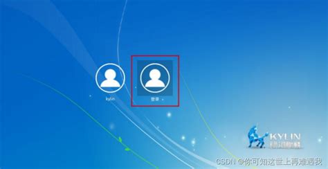 银河麒麟桌面操作系统v10 常见运维问题类别：启动登录 01麒麟使用社区问题讨论 Csdn博客