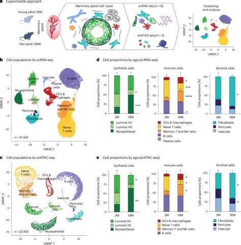 Kiboko Inc On Linkedin Comprehensive Single Cell Aging Atlas Of