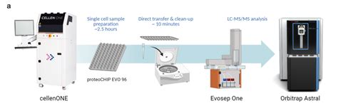 Single Cell Proteomics Analysis MtoZ Biolabs