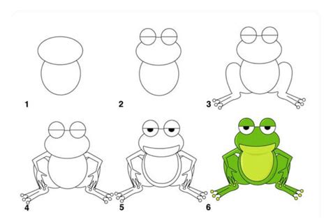 Как нарисовать Лягушку ребенку поэтапно карандашом