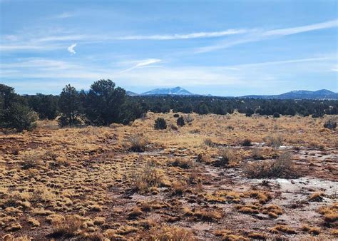 4378 Lasso Loop Williams Az 86046 Mls 201263 Redfin