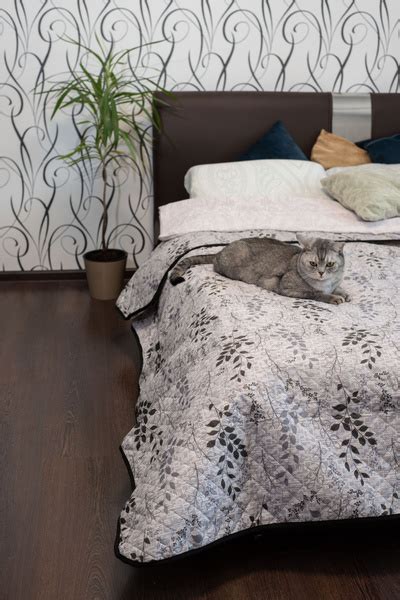 Покрывало Королевство сна на кровать 200х220 стеганое 200x 180 см ...