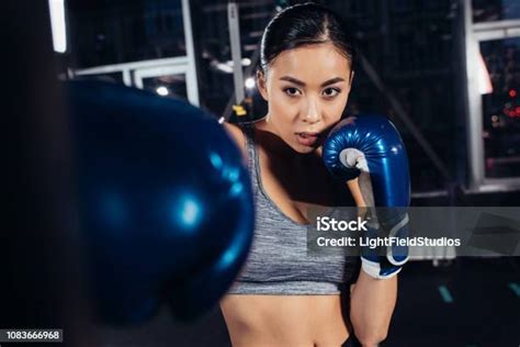 체육관에서 훈련 권투 장갑에 아시아 여자의 보기를 닫습니다 권투 선수에 대한 스톡 사진 및 기타 이미지 권투 선수 권투 스포츠 부분의 Istock