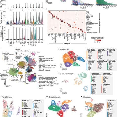 Bulk Rna Seq Deconvolution And Comparison Of Automatic And Manual