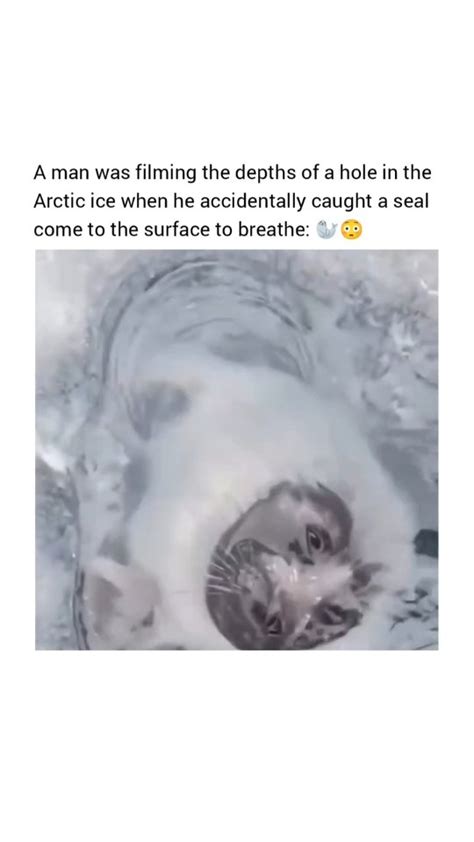 Info Matrix Info Matrix Ig • Instagram Photos And Videos