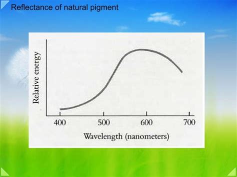 04c Visual Signal Processing Color Vision Ppt Free Download