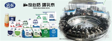 中国各地牛奶品牌 山东 知乎