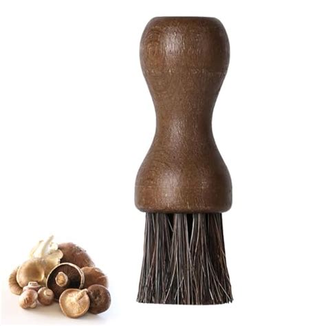 Best Mushroom Cleaning Brush Top 5 Picks And Review