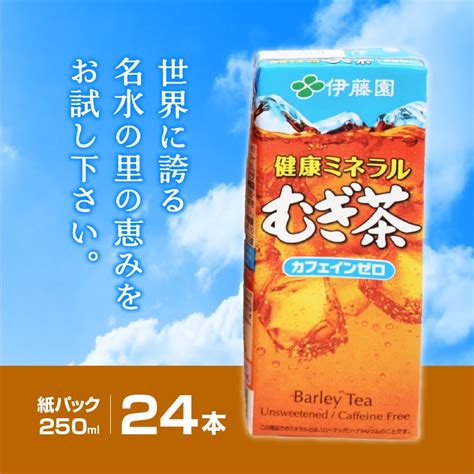 伊藤園 健康ミネラル麦茶 こどもむぎ茶 125ml紙パック×3p×12個入×2ケース｜ 送料無料 麦茶 伊藤園 お茶 カフェインレス