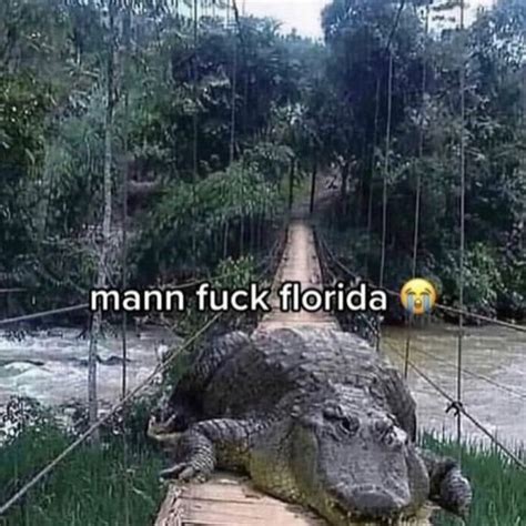 Stream Hi Listen To