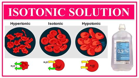 Isotonic Solutions Hypertonic Hypotonic Pharmaceutical Isotonic