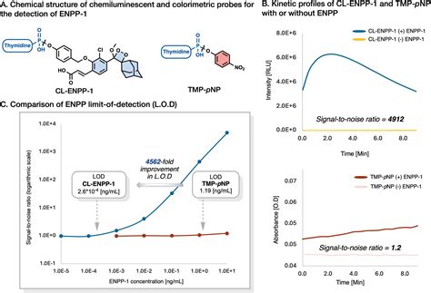 Thymidine Phosphodiester Chemiluminescent Probe For Sensitive And Selective Detection Of