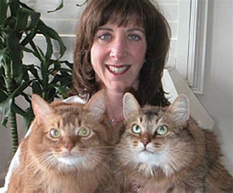 Cat Doc New Diet For Hyperthyroid Cats Orange County Register