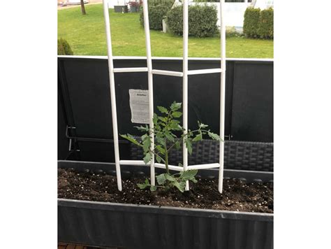 A Simple Stackable Support For Strongly Growing Or Tendrilous Plants