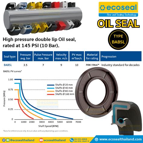 Oil Seal