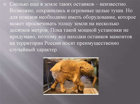 Останки мамонтов в России - презентация онлайн