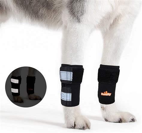 Buy Neoally Dog Braces Front Leg Support Canine Wrist Braces With
