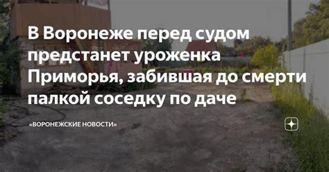 В Воронеже перед судом предстанет уроженка Приморья забившая до смерти палкой соседку по даче