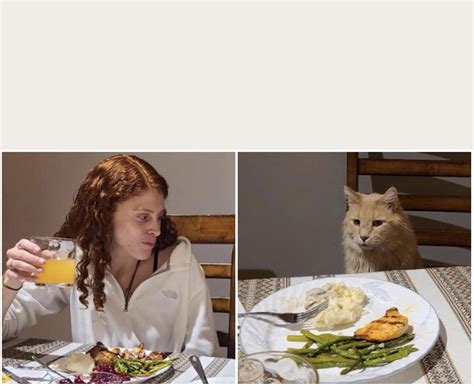 Cat Sitting At Table Meme Template At Donald Altman Blog