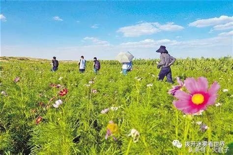 黑科技想要沙漠變良田加點膠水 每日頭條