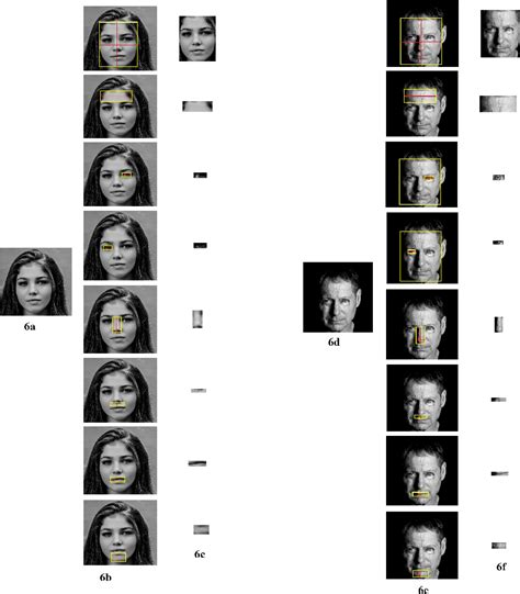figure 6 from normal and abnormal human face detection based on dct and