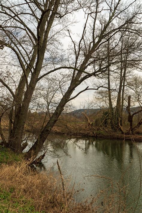 숲 자연 풍경 Pixabay의 무료 사진 Pixabay