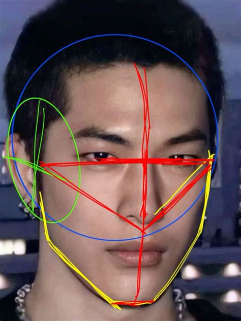 Face Anatomy Reference First Time In 2025 Face Drawing Anatomy Art Face Anatomy