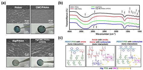 stretchable surface electrode arrays using an alginate pedot pss based