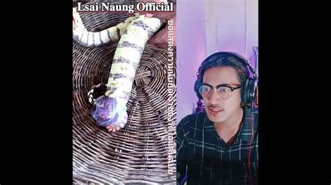 မြွေအမကြီး သားလေးတွေနဲ့ဗျာ Youtube