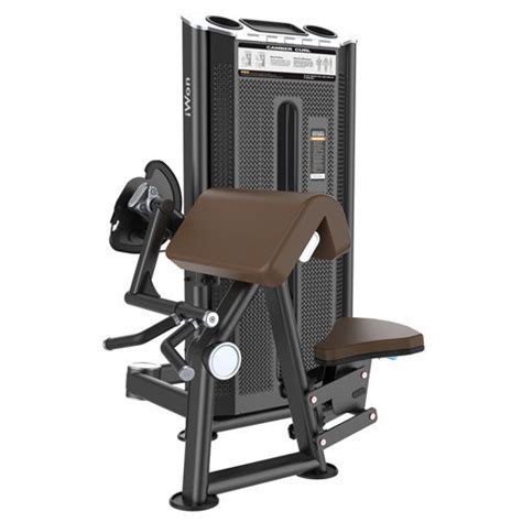 Bicep Curl Application Tone Up Muscle At Best Price In Navi Mumbai A1 Fitness Sales And Services