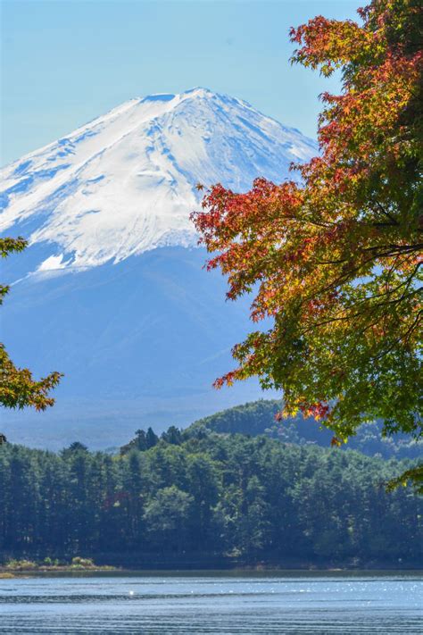 富士秋景Ⅲ GANREF